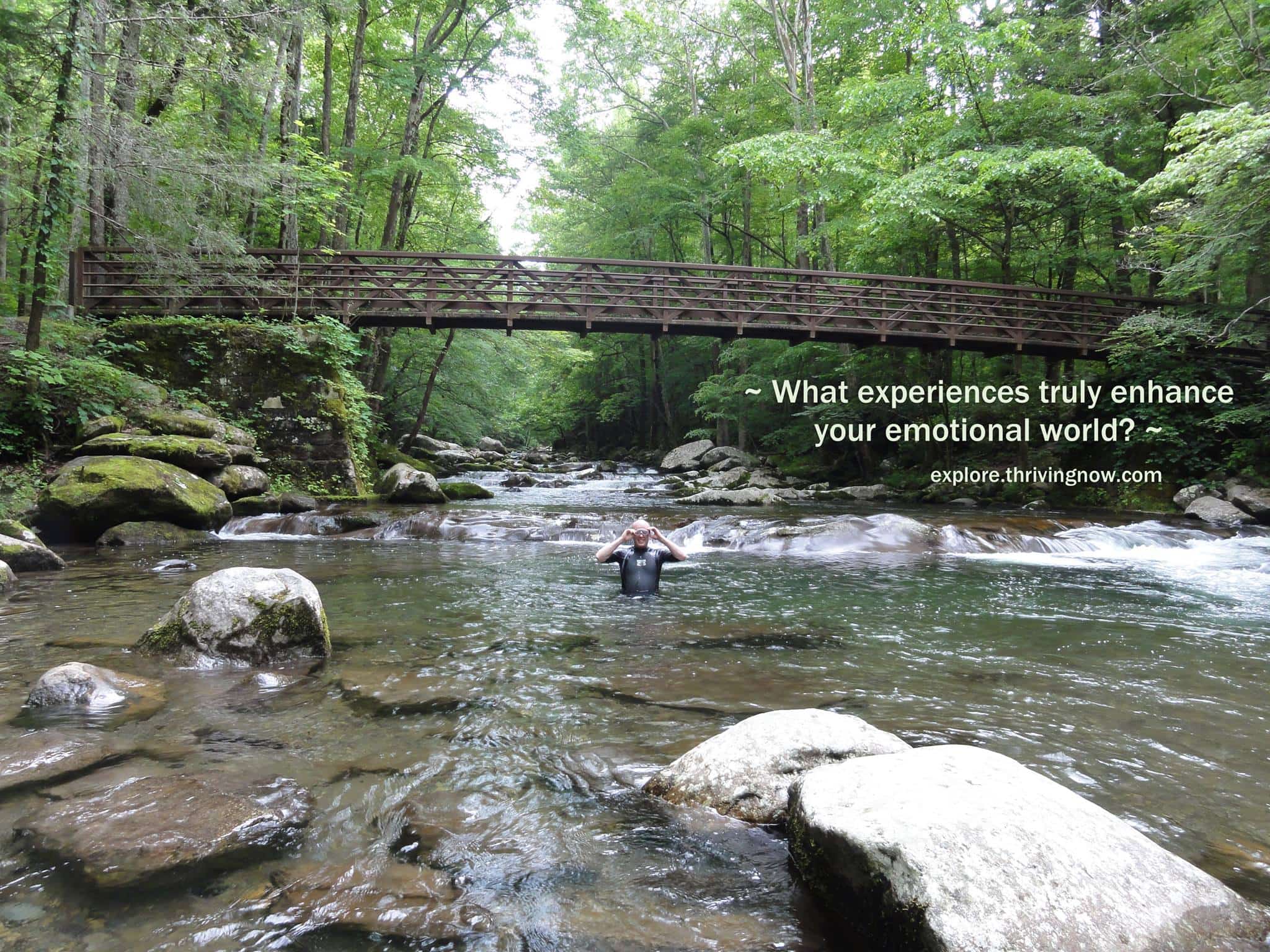 Lifestyle Explorers – Thriving Now